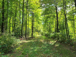 13 Wisconsin State Parks With Sandy Beaches That Will Make You Forget ...