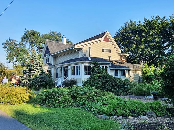 Primo's garden: Where vegetables have VIP status. This Rockland farm-to-table haven makes eating your greens feel like a gourmet rebellion.