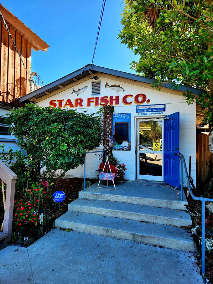 Star Fish Company: Where fish tales become delicious reality! This Cortez gem looks like it jumped straight out of a Jimmy Buffett song.