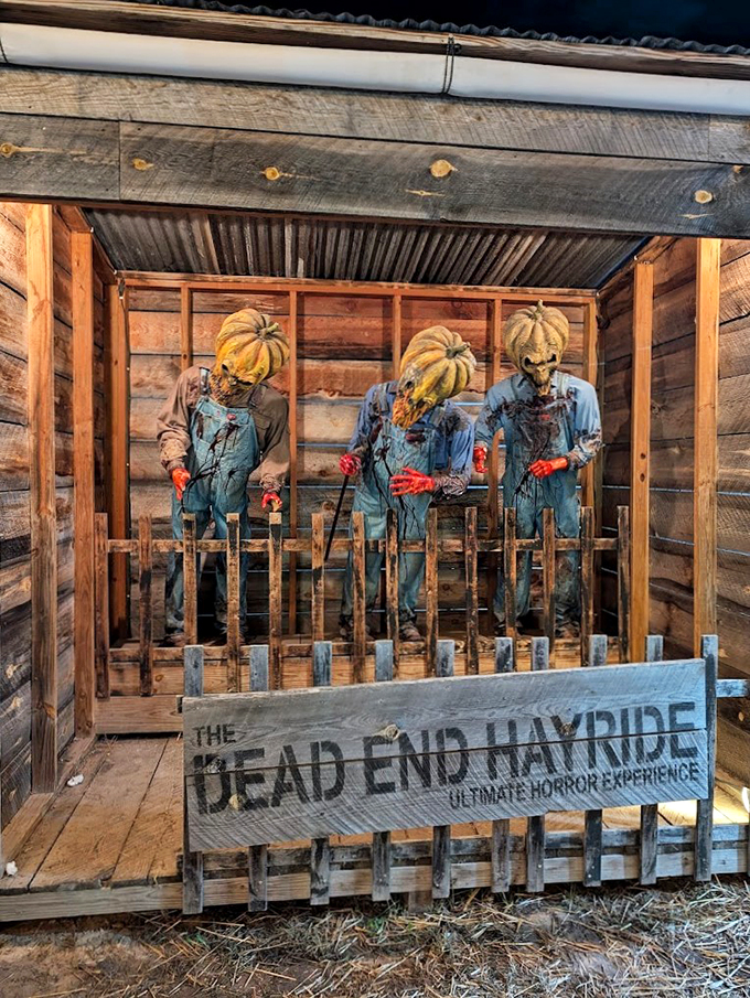 Ah, nothing says "autumn fun" like pumpkin-headed monsters ready to chase you through the woods. It's like a really twisted Charlie Brown special!