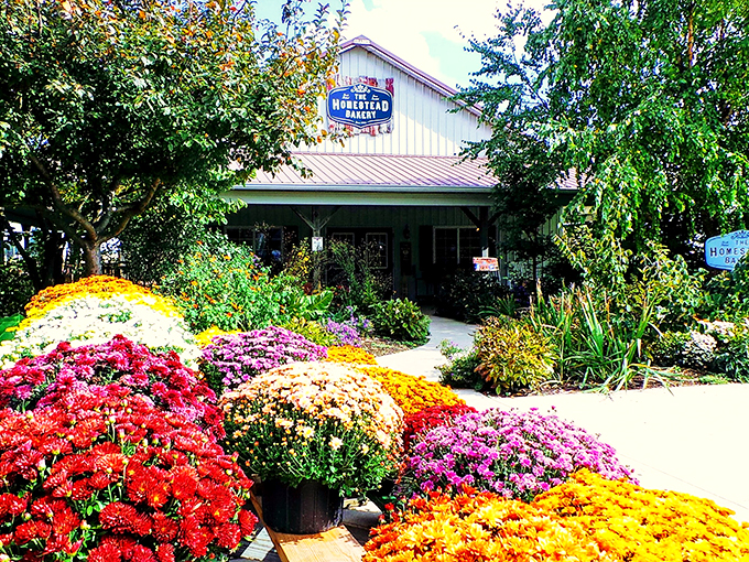Garden of Eatin'! The Homestead Bakeshop's floral wonderland is just the appetizer &ndash; wait till you taste what's baking inside.