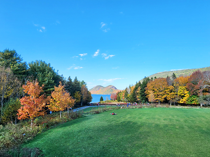 Fall in Acadia: Nature's own Technicolor dreamcoat. Joseph would be jealous of these autumn hues!