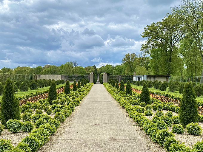 "Nature's red carpet moment! Allerton Park's grand walkway invites you to strut your stuff among blooming beauties."