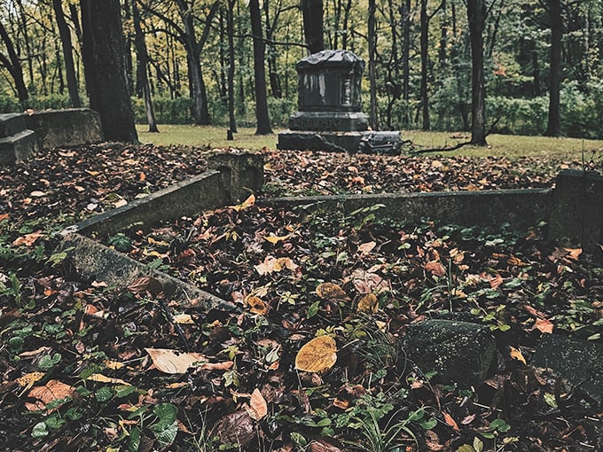 Misty mornings and moss-covered stones? Check. This place is more atmospheric than a Tim Burton film set.