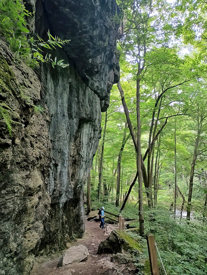 Nature's obstacle course: Clifton Gorge's rocky path challenges hikers and rewards them with views that rival any screensaver.