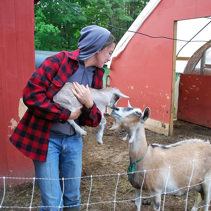 Visit Fat Toad Farm in Vermont, where you can meet friendly goats and learn about traditional caramel-making processes firsthand!