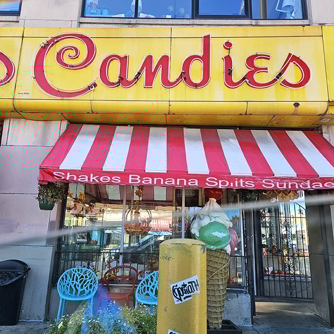 The Donut Experiment: Mad scientists of the pastry world! It's like Build-A-Bear, but infinitely more delicious.