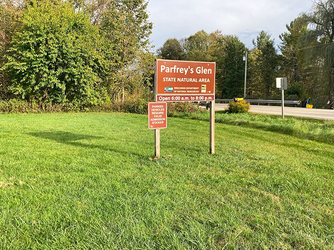 A hidden sanctuary where ferns and mosses transform ordinary rock walls into nature's own emerald tapestry.