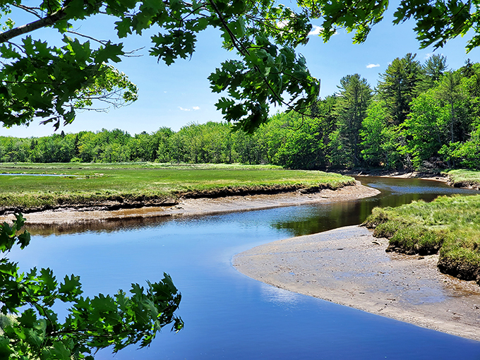A river runs through it&hellip; and around it&hellip; and basically everywhere. Rachel Carson's refuge is like nature's waterpark, minus the screaming kids.