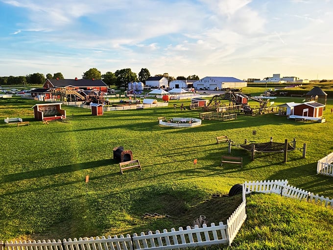 Sunflowers, slides, and smiles galore. It's like someone sprinkled pixie dust on a farm and turned it into a magical playground.