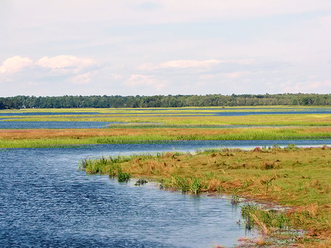 Daytime at Scarboro Marshes: A patchwork quilt of blues and greens. It's like Mother Nature decided to play Tetris with water and grass.