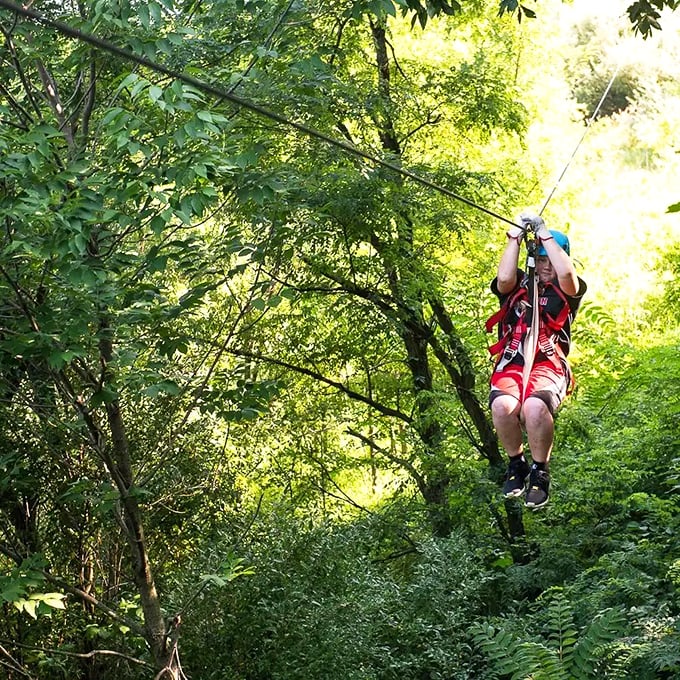 Talk about a long-distance relationship! Zipping over giraffes is the new way to say hello in Ohio.