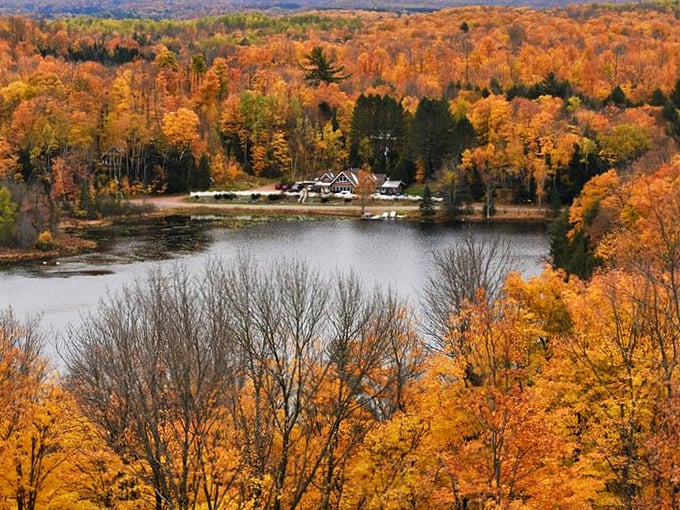 Nature's stairmaster with a rewarding view. Who needs a gym membership when you've got Timm's Hill?