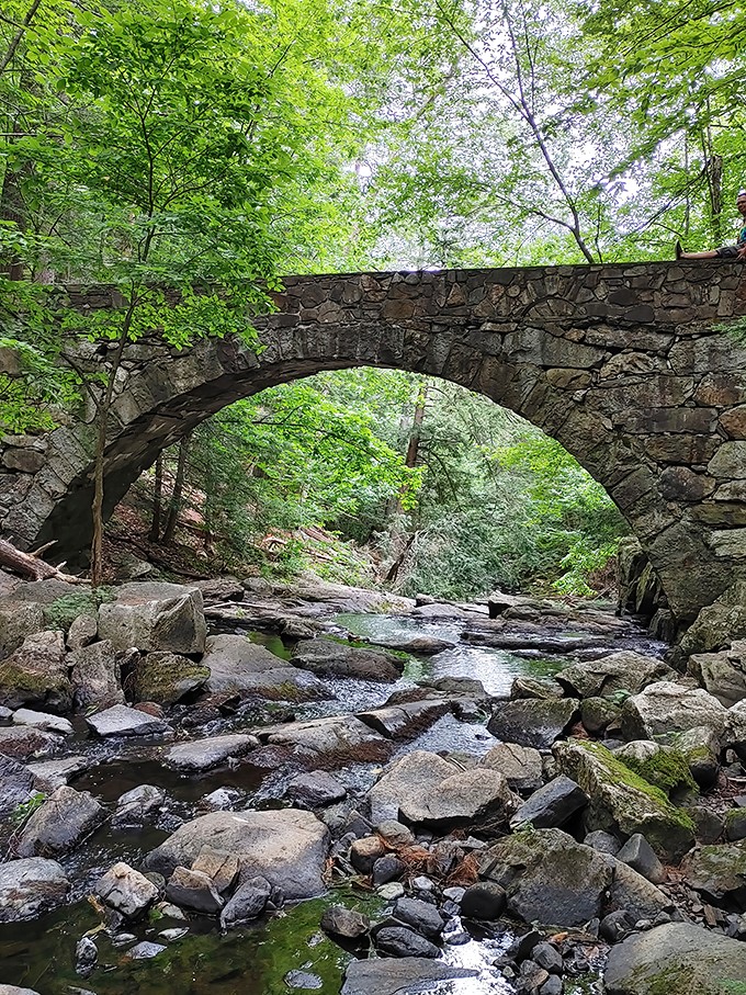 Moss-covered stones and babbling brooks: Vaughan Woods is like a Bob Ross painting come to life, minus the "happy little trees."