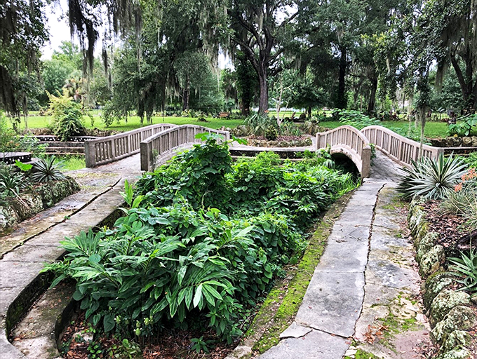 Forget smart homes, this is a genius house! It's like living inside a Rube Goldberg machine with a view.