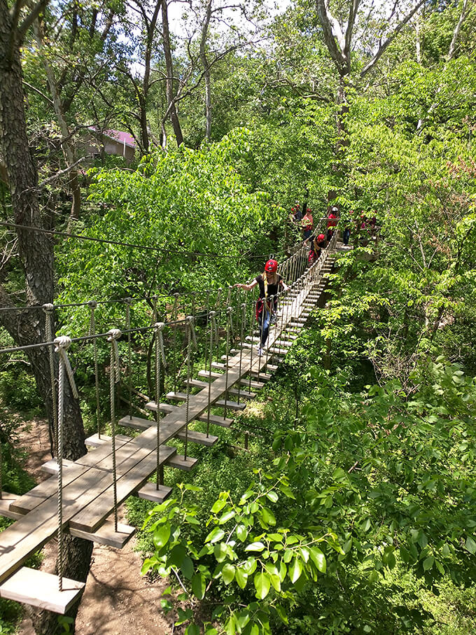 It's like riding the 'L' train, but with better views and no delays. Hold on tight for an exhilarating Illinois River Valley tour!