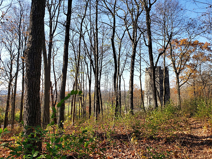 "Nature's game of hide-and-seek champion. Can you spot the castle peeking through autumn's leafy curtain?"