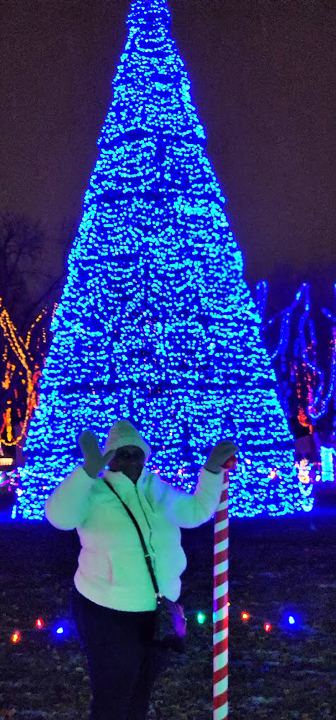 O Christmas tree, how lovely are thy... blue lights? This azure giant stands tall, outshining the North Star with its electric brilliance.