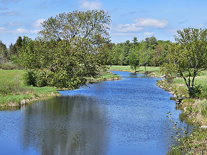 Who needs a green screen when you've got this? Maine's coastline serves up a feast for the eyes that puts even the best CGI to shame.