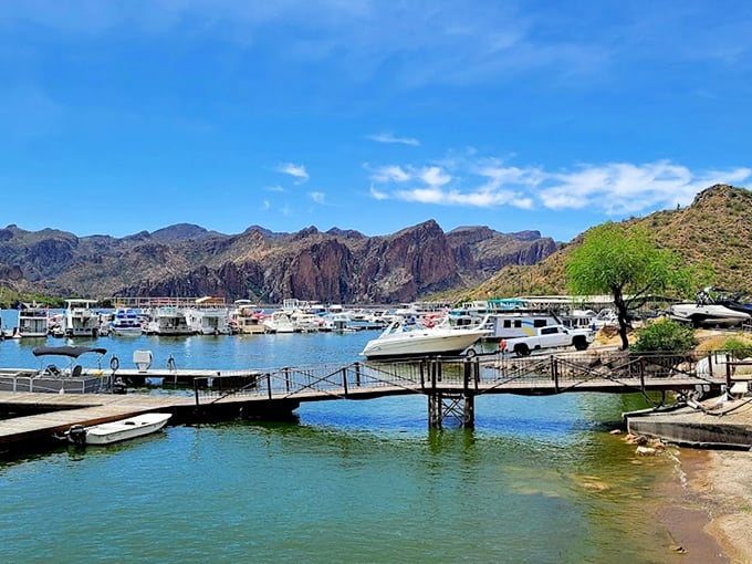 Marina, oh my! This bustling dock is where land lubbers transform into captains of their own desert voyage.