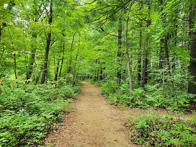 "Fifty shades of green!" This lush trail looks like it was plucked straight from a fairy tale &ndash; minus the big bad wolf, thankfully.