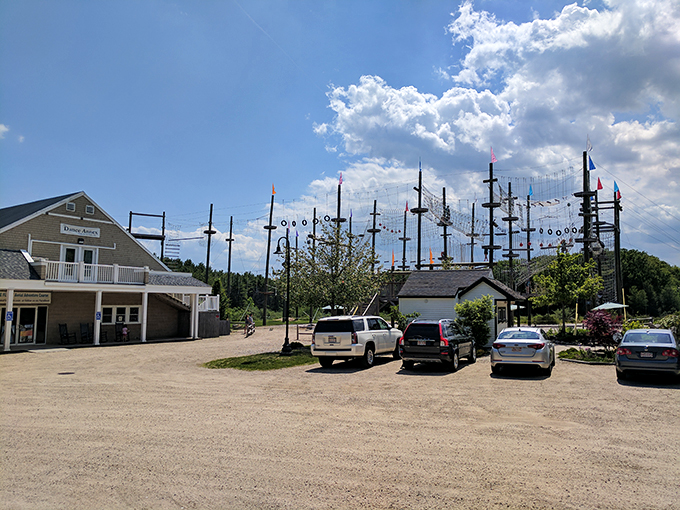 From terra firma to treetop thrills: This unassuming lot is where earthbound humans transform into high-flying adventurers. Caterpillar to butterfly, anyone?