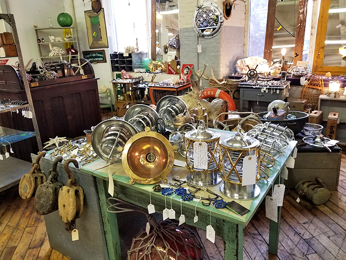 Maritime treasures and vintage nautical gear glisten like gold doubloons. Every piece here has sailed through time to reach this harbor.
