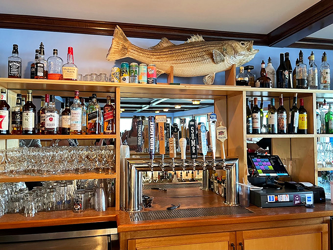 That mounted fish watching over the bar seems to say, 