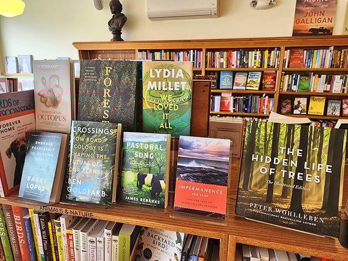 Bestsellers or best friends? These popular picks are ready to jump off the shelf and into your heart. From forests to oceans, there's a whole world waiting to be explored between these covers.