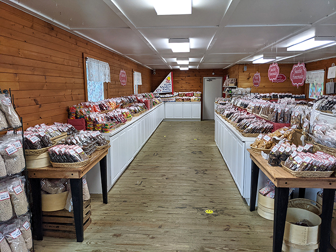 Candy lovers, rejoice! This sweet haven could give Honeydukes a run for its money. Colorful treats line wooden shelves, tempting visitors to indulge their inner child.