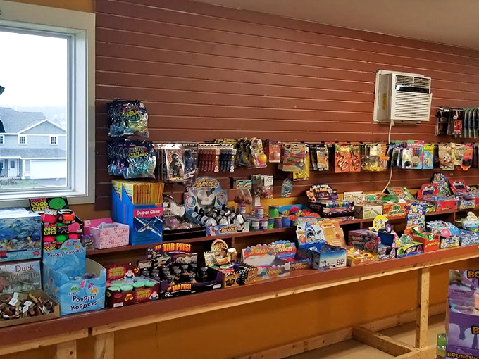 From bouncing putty to classic toys, this shelf is childhood nostalgia incarnate - proof that some treasures never go out of style.