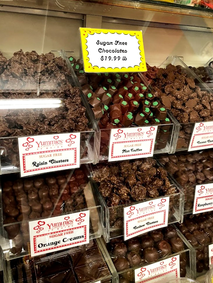 Sugar-free doesn't mean joy-free! These guilt-free goodies prove that healthy choices can still spark happiness.