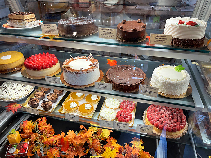 Behold, the glass case of temptation! Each shelf is a new adventure for your taste buds. Choose wisely... or just try them all.