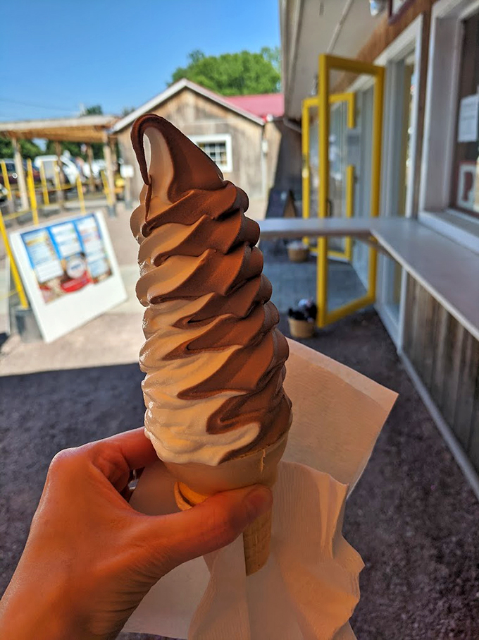 This chocolate-vanilla twist cone stands tall and proud, a swirled masterpiece that's worth every brain freeze.