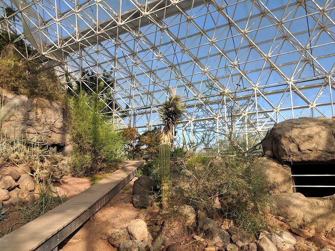Under the soaring glass panels, a desert ecosystem thrives in carefully controlled conditions - nature's laboratory in full swing.