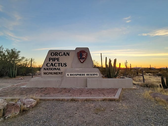 Nature's own welcome sign: The Organ Pipe Cactus National Monument entrance glows golden in the desert sunset. Photo credit: Alex Peykov
