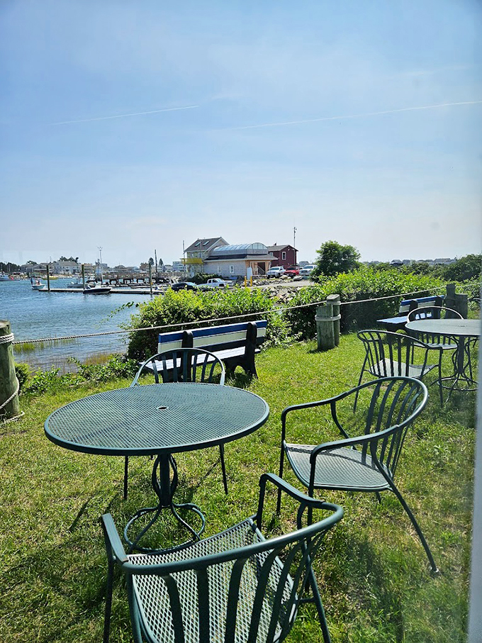 A front-row seat to nature's dinner theater, where wrought-iron tables offer the perfect perch for harbor-watching between bites.