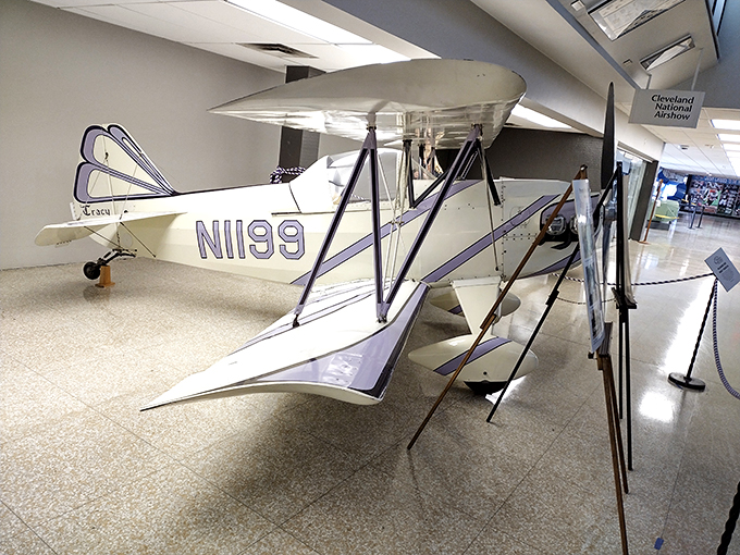 "Meet 'Tracy,' the dazzling diva of the skies. She may be grounded, but her spirit still soars!"