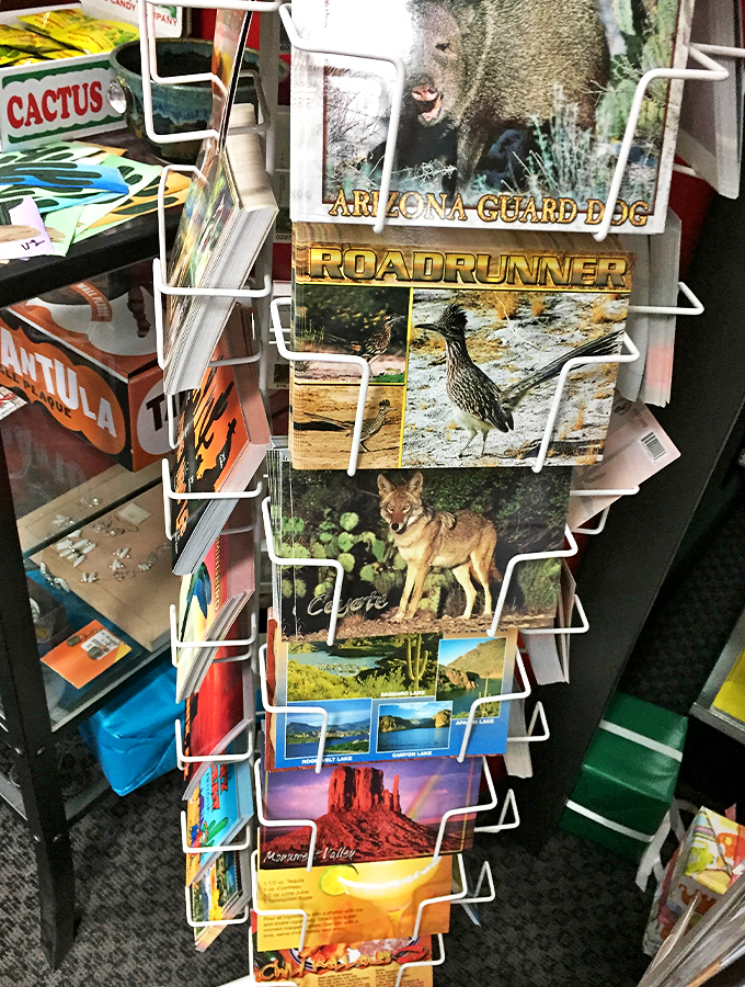 Arizona's wild spirit captured in postcard form&mdash;from majestic roadrunners to painted desert sunsets that will make your Instagram jealous.