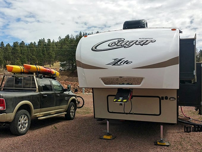 RV life, Alpine style: Where your backyard is 2 million acres of wilderness and your neighbors are elk, deer, and the occasional curious bear.