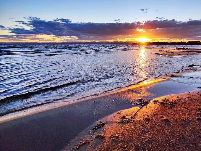 Mother Nature's daily light show: Leddy Park's sunsets are so stunning, they make you wonder if Bob Ross himself is up there, painting "happy little clouds."