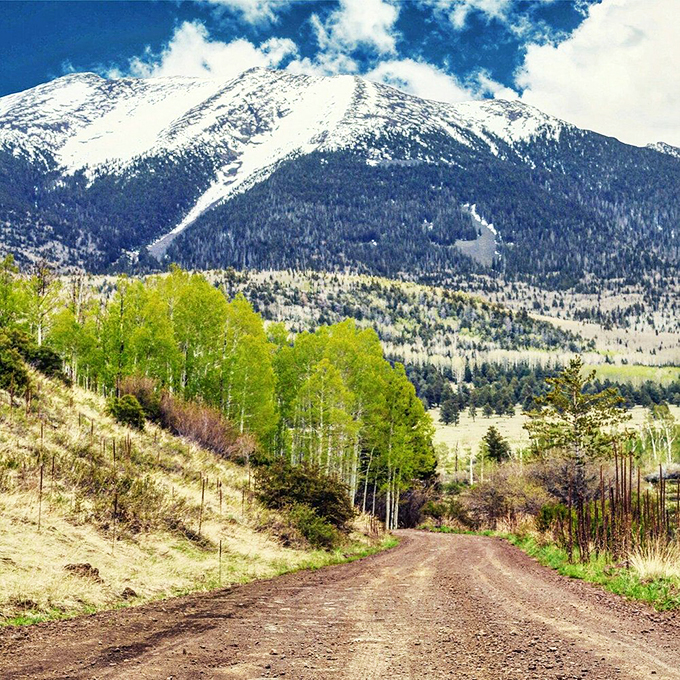 Autumn's paintbrush at work! It's like Mother Nature decided to throw a color party, and everyone's invited. Photo credit: David C