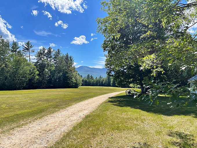 Like a scene from a pastoral painting, this sun-dappled trail leads to mountain views worthy of a postcard.