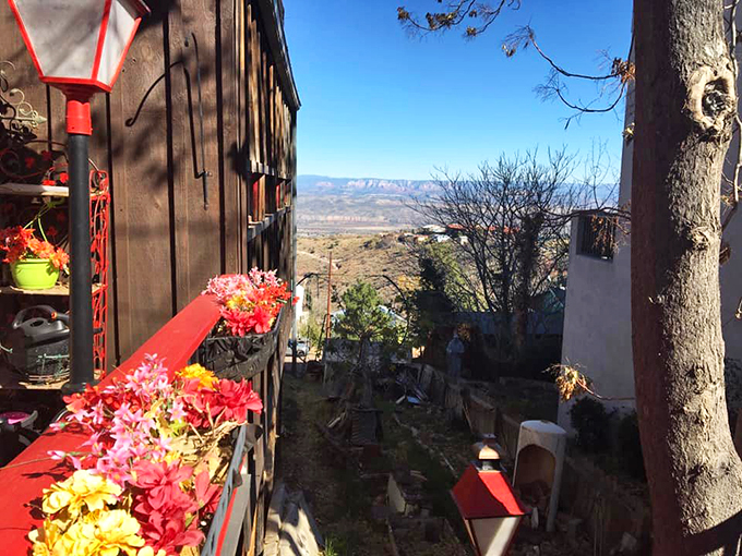 Talk about a room with a view! Jerome's vistas are so breathtaking, even the flowers are peeking out to catch a glimpse.