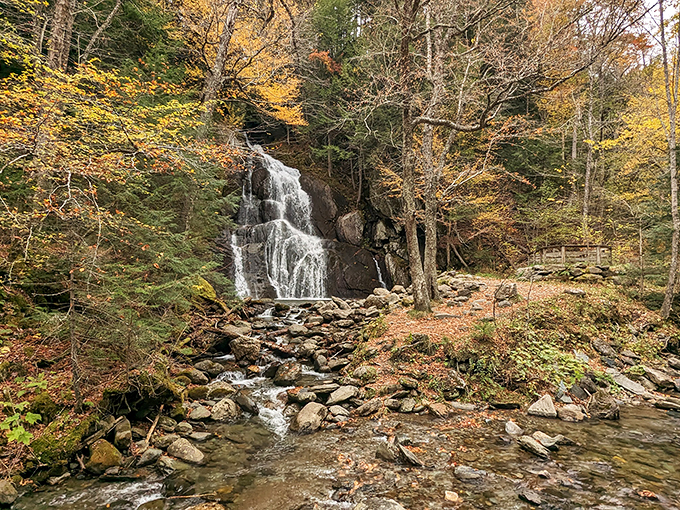 Autumn's canvas unfurls at Warren Falls, where Mother Nature flexes her artistic muscles in a symphony of reds, oranges, and golds.