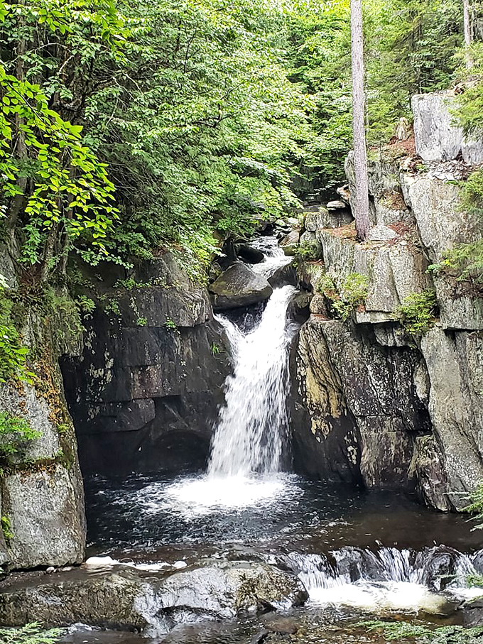 Hidden among Greenville's forests, this cascading waterfall provides nature's own soundtrack - no Spotify playlist needed.