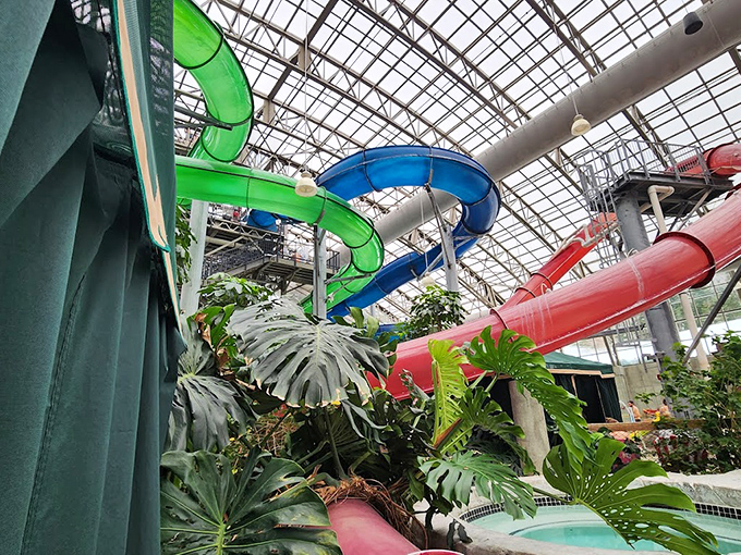 Like a rainbow made of tubes, these twisting waterslides promise adventure while tropical plants below add a touch of paradise.