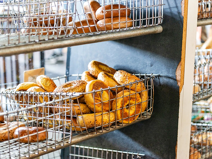 Behold the bagel buffet! These golden rings aren't just bread with a hole&mdash;they're edible works of art waiting to be devoured.