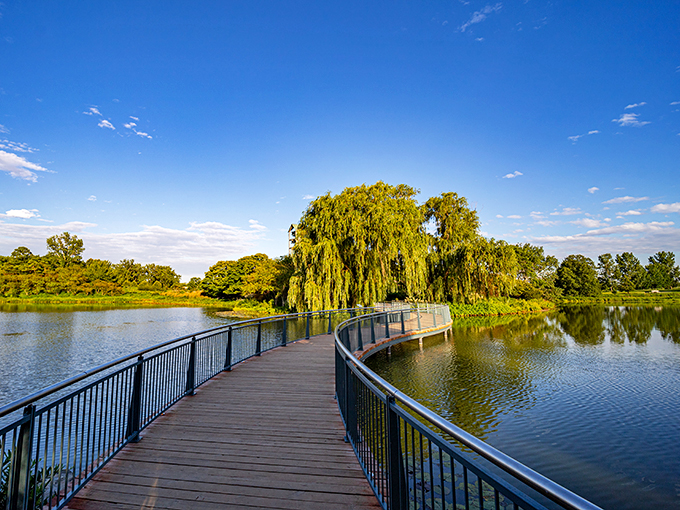 This curvy boardwalk is like nature's catwalk. Strut your stuff across the water, but watch out – those willows are totally throwing shade!