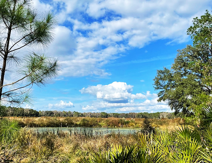 Cloud-watching championship in progress! Colt Creek's serene waters and big sky put on a show that beats any IMAX experience.